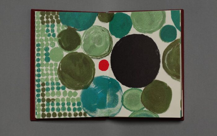 Daily Art Moment: Warja Honegger-Lavater - Portland Art Museum