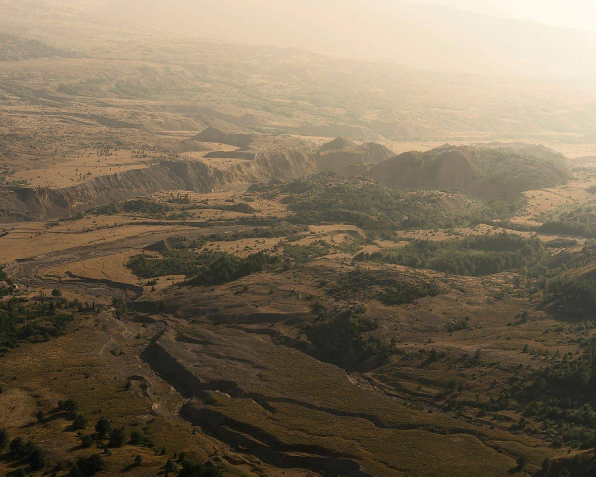 Daily Art Moment: Buzzy Sullivan - Portland Art Museum