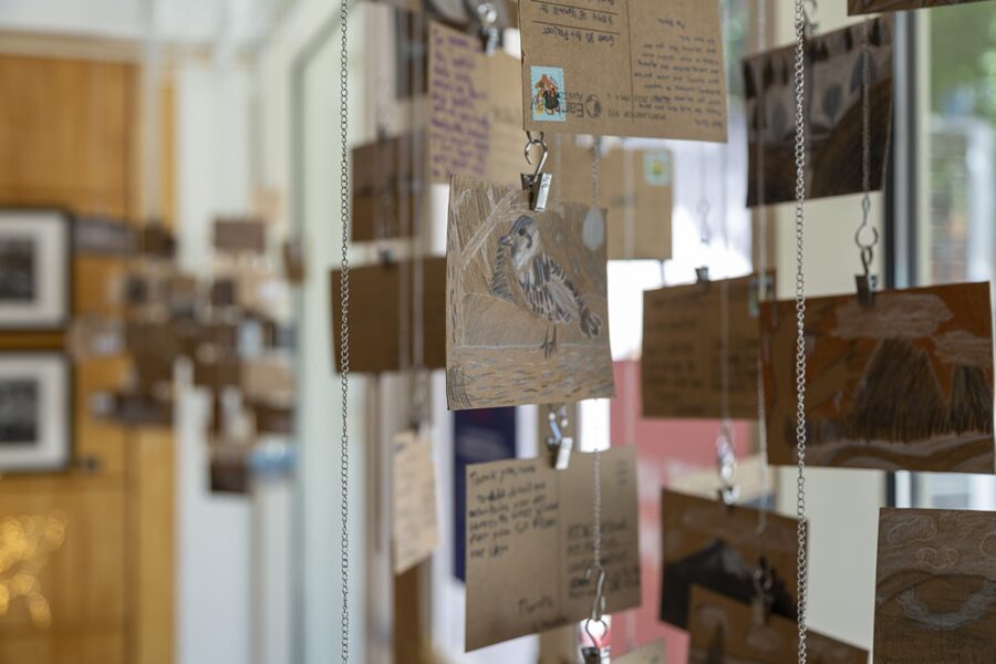 Postcards to the Earth: PPS HeART of Portland Exhibition and Showcase ...