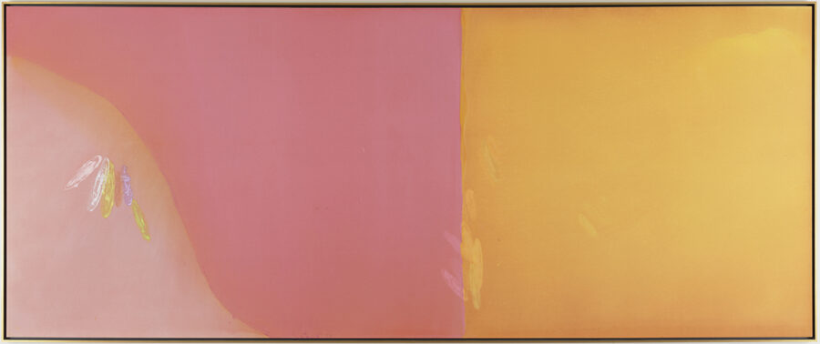 Write Around PAM: Larry Poons - Portland Art Museum