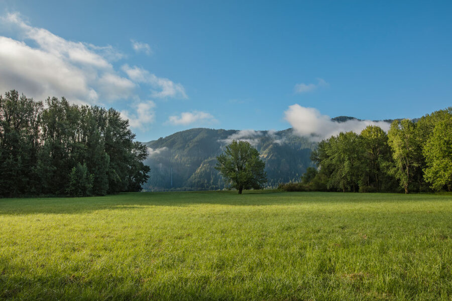 Quest for Beauty: The Architecture, Landscapes, and Collections of John ...
