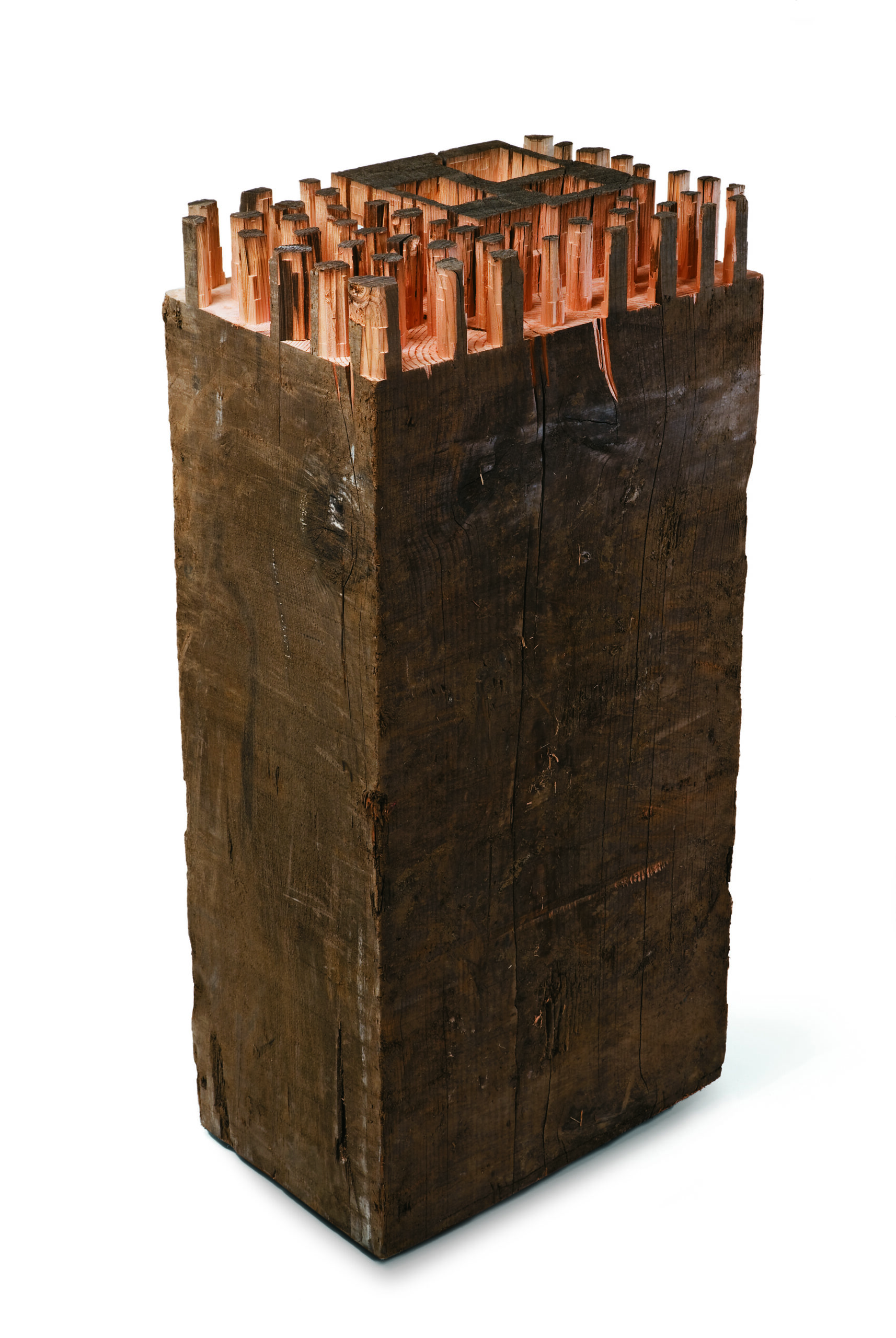 Case Work - Portland Art Museum