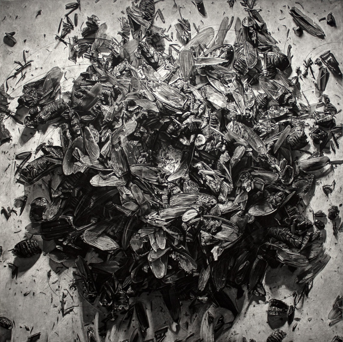 APEX: Shelby Shadwell - Portland Art Museum