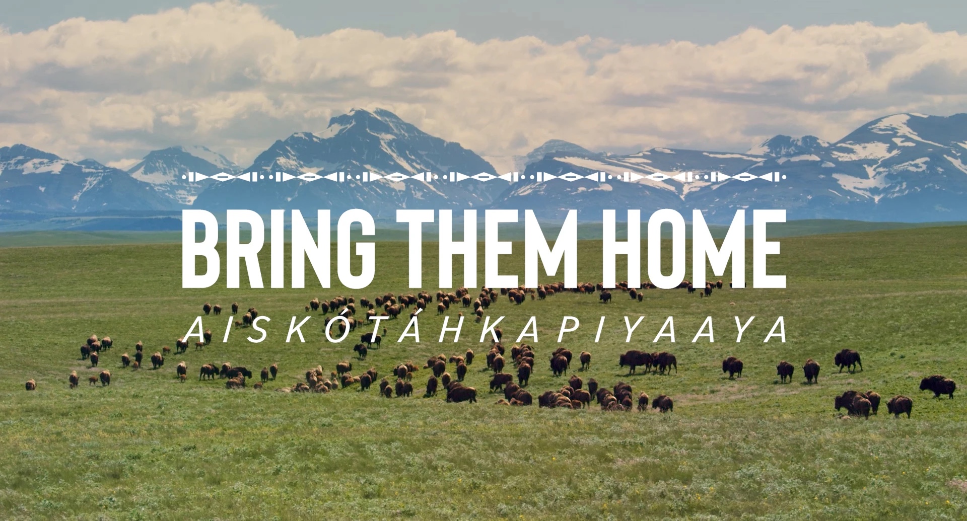 "Bring Them Home" Native community celebration - Portland Art Museum